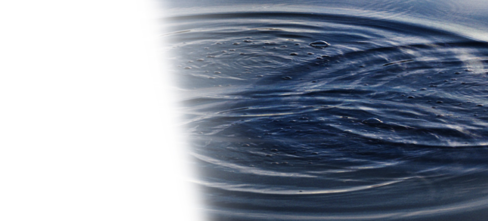 Build Affinity Build Affinity Helps Organizations Communicate